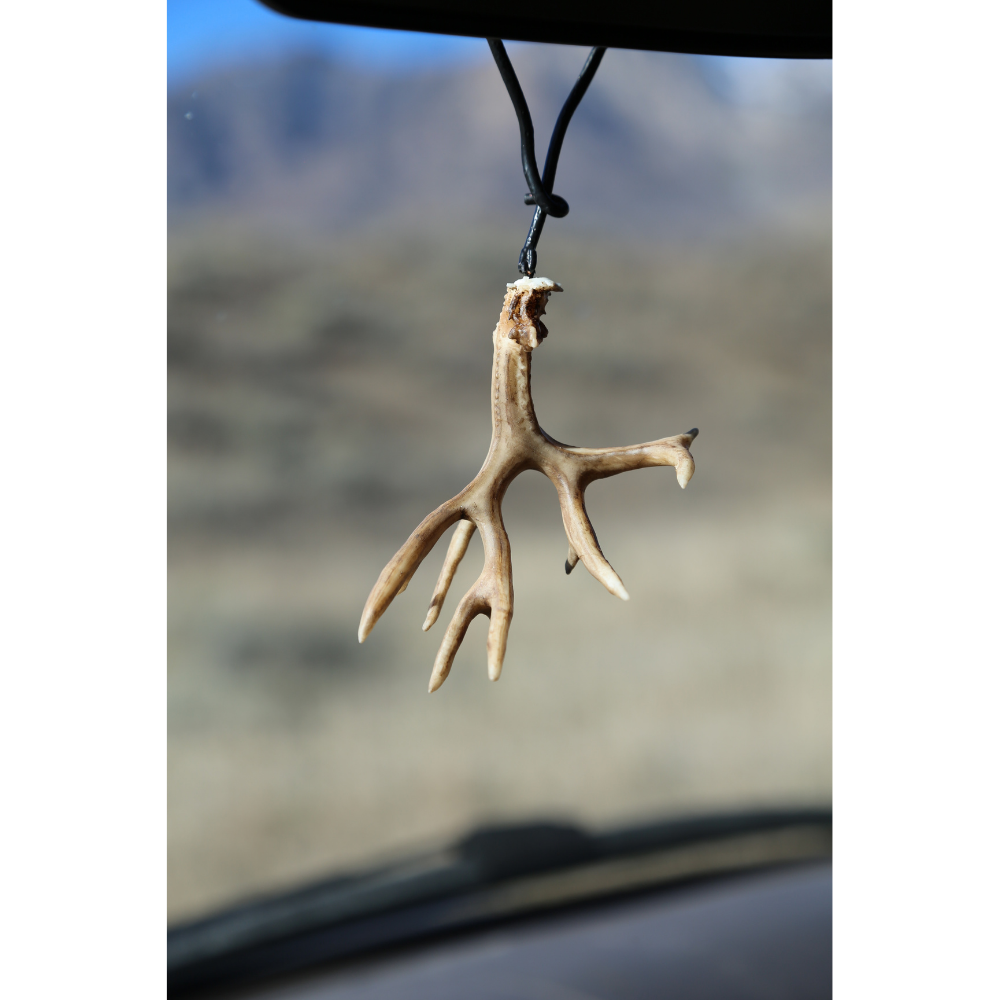 Mule Deer Non-Typ. Shed – Mini Muleys