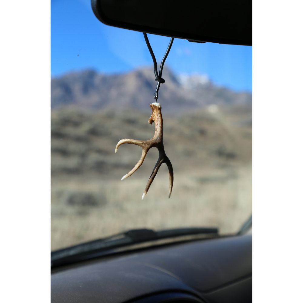 Mule Deer Typical Shed – Mini Muleys